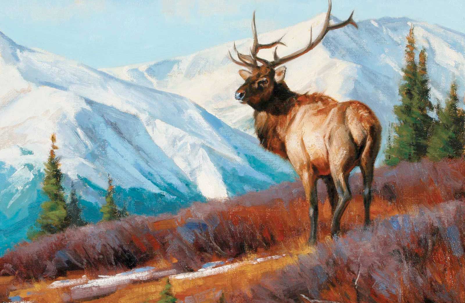 Wild Things (Issue 148)