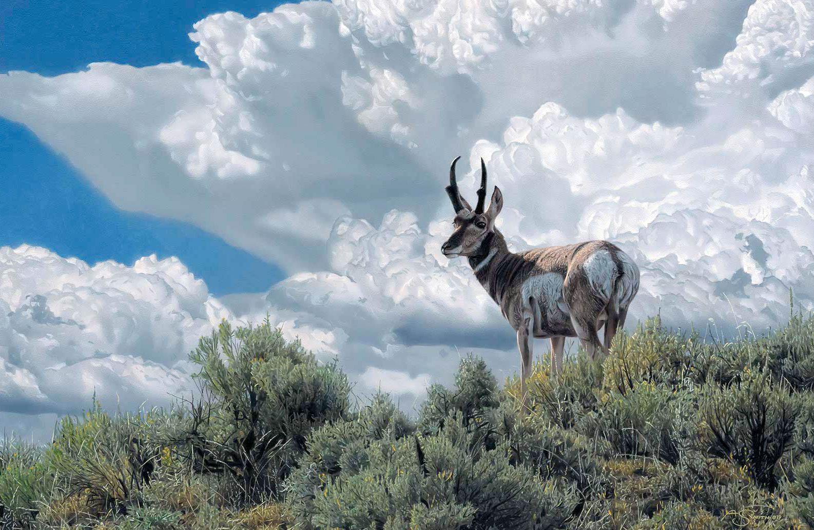 Wildlife discovery (Issue 150)