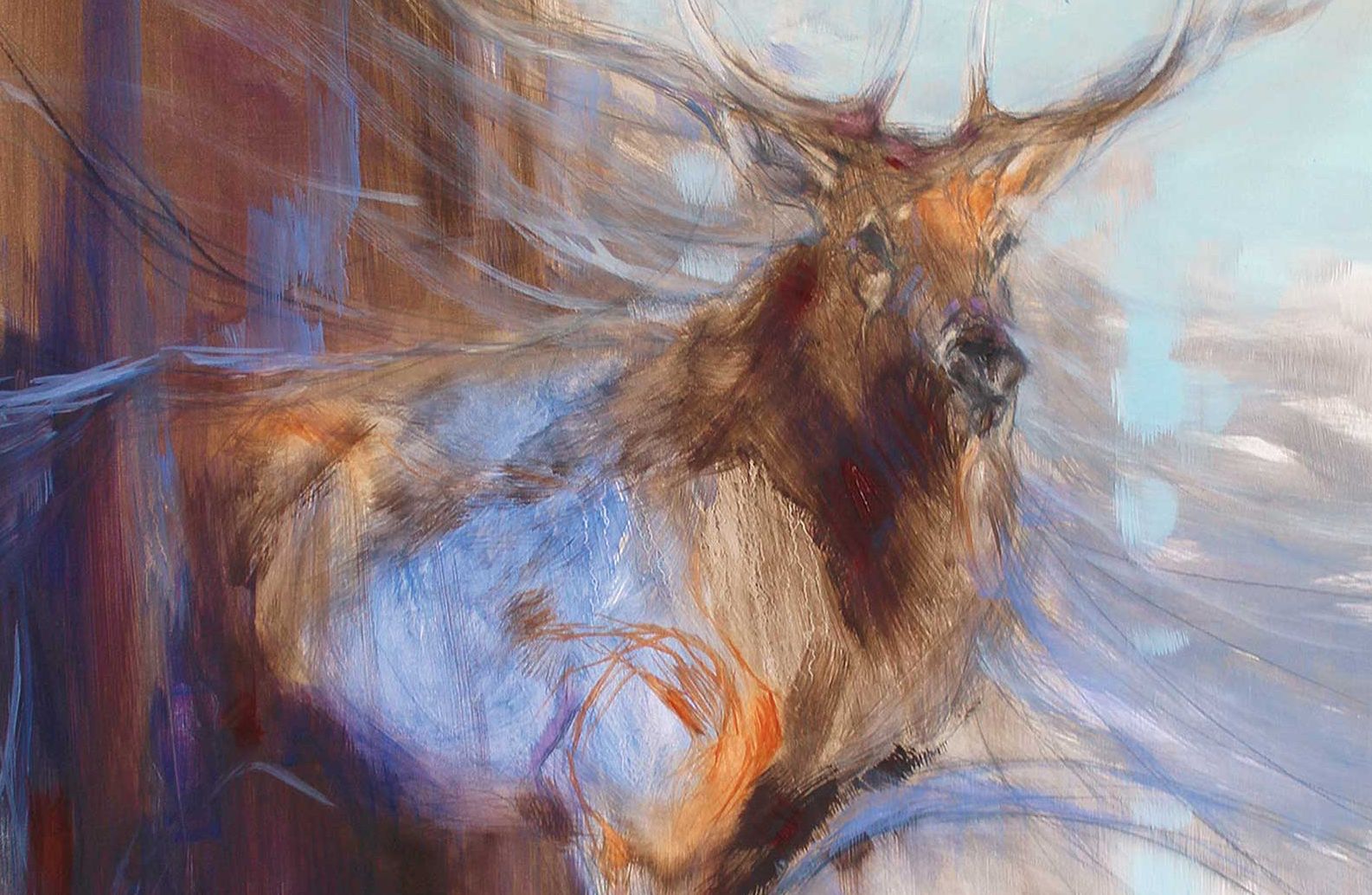 Amy Lay: Bold and beautiful (Issue 156)