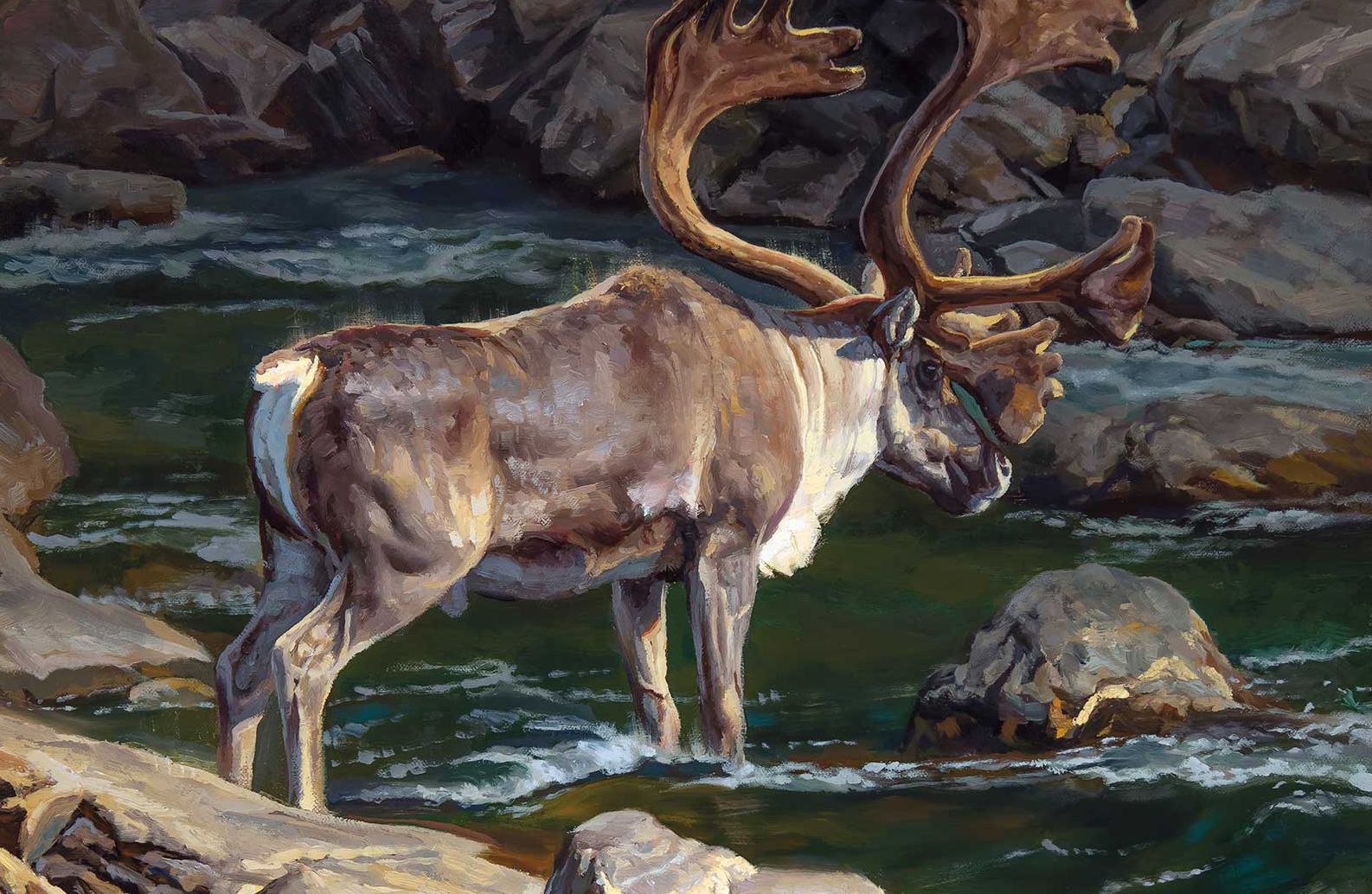 Dustin Van Wechel: Transcending nature (Issue 156)