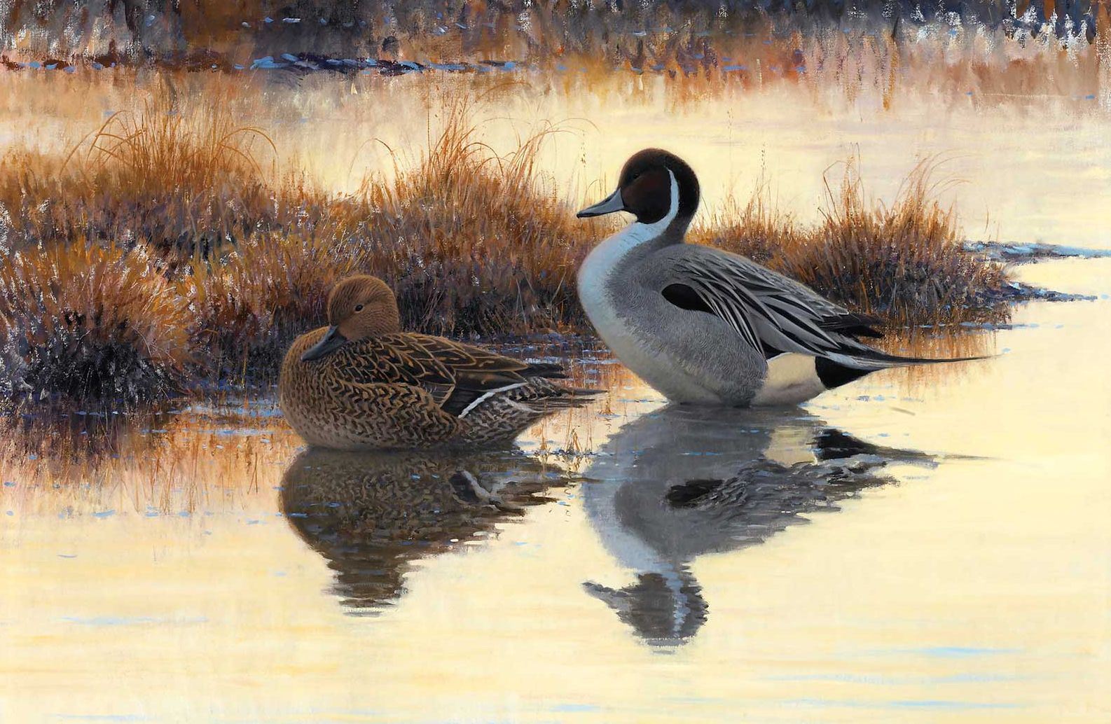 A Faithfulness to Nature (Issue 156)