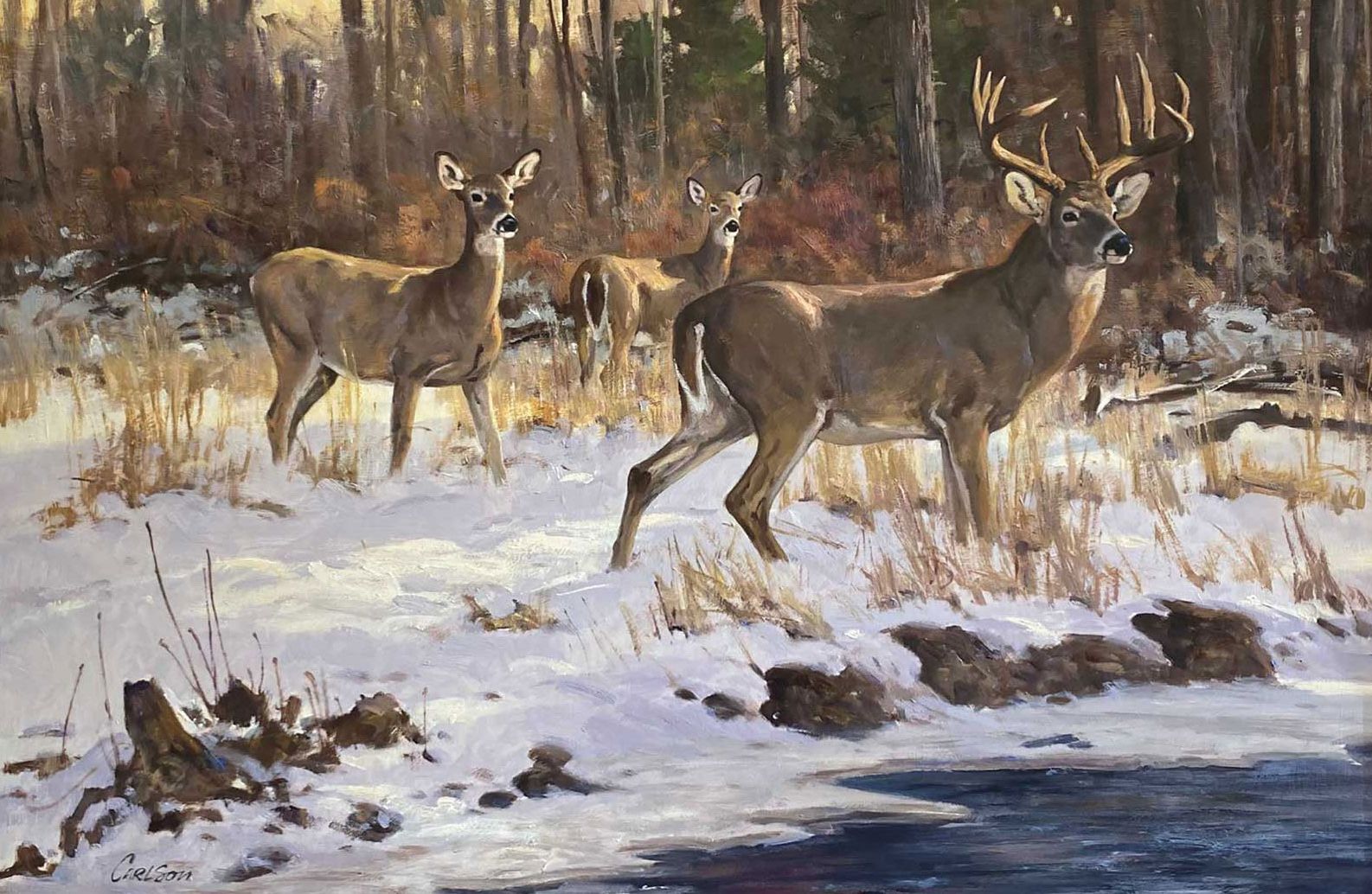 Open Season (Issue 167)