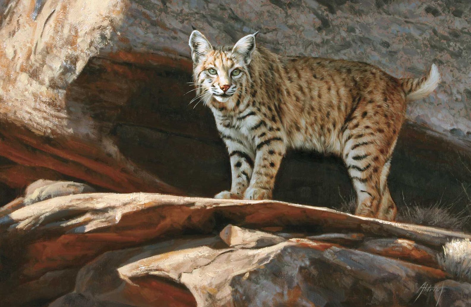 Edward Aldrich: Wolf Rescue (Issue 169)