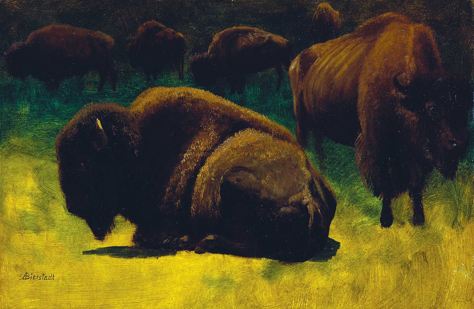 Recently Acquired (Issue 183)