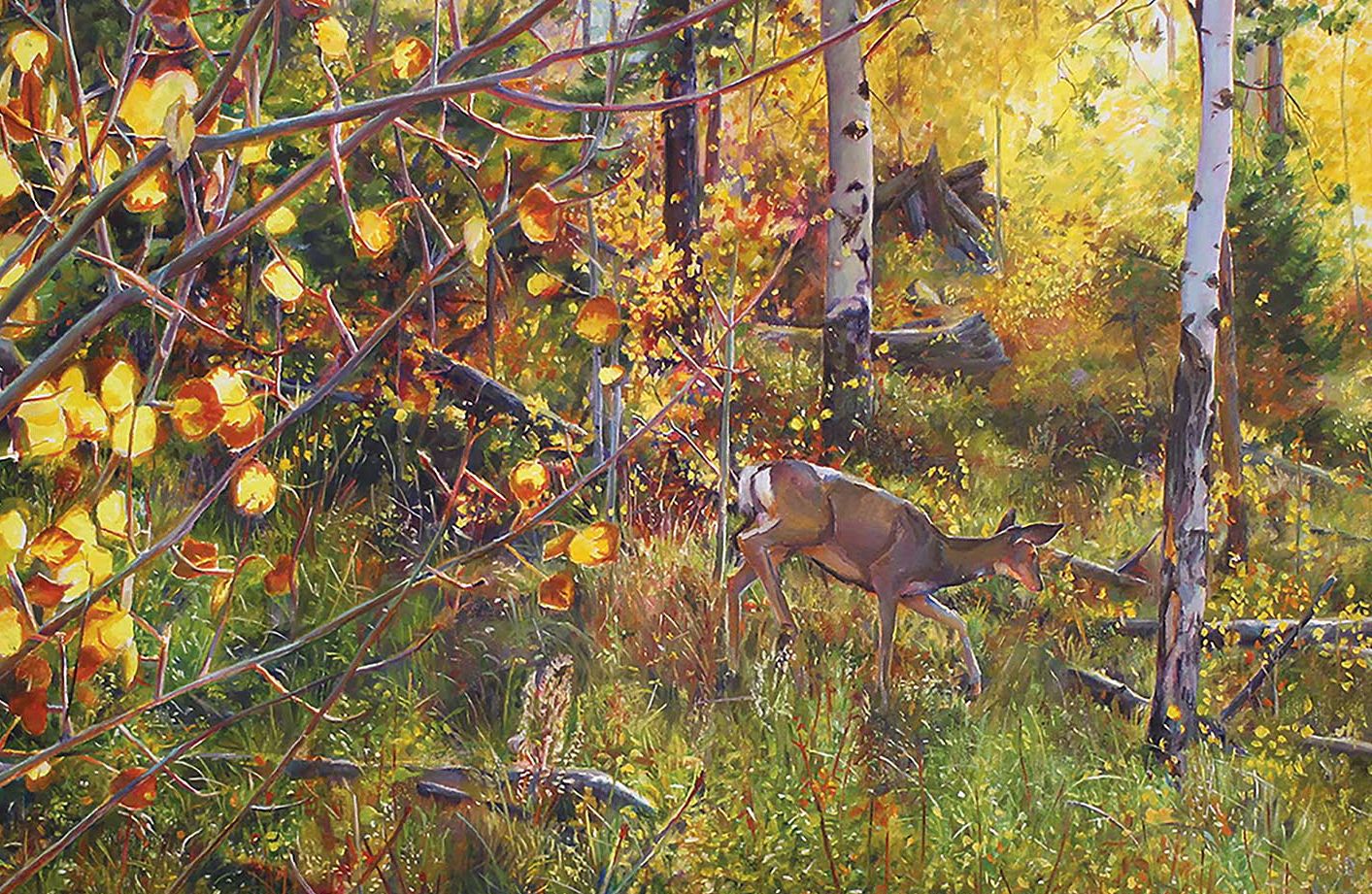 Artist Focus: Dan Knepper (Issue 191)