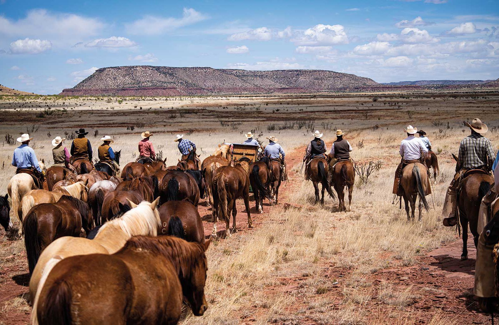 Bell Riders (Issue 192)