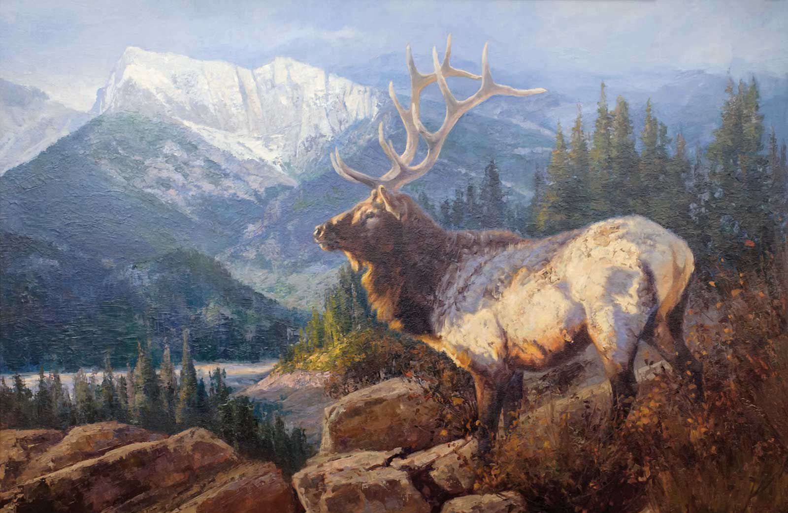 Dance of the Wild (Issue 193)