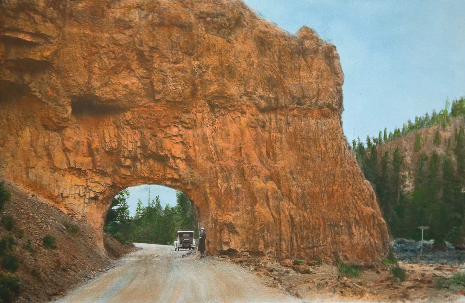 Shaping the Land (Issue 196)