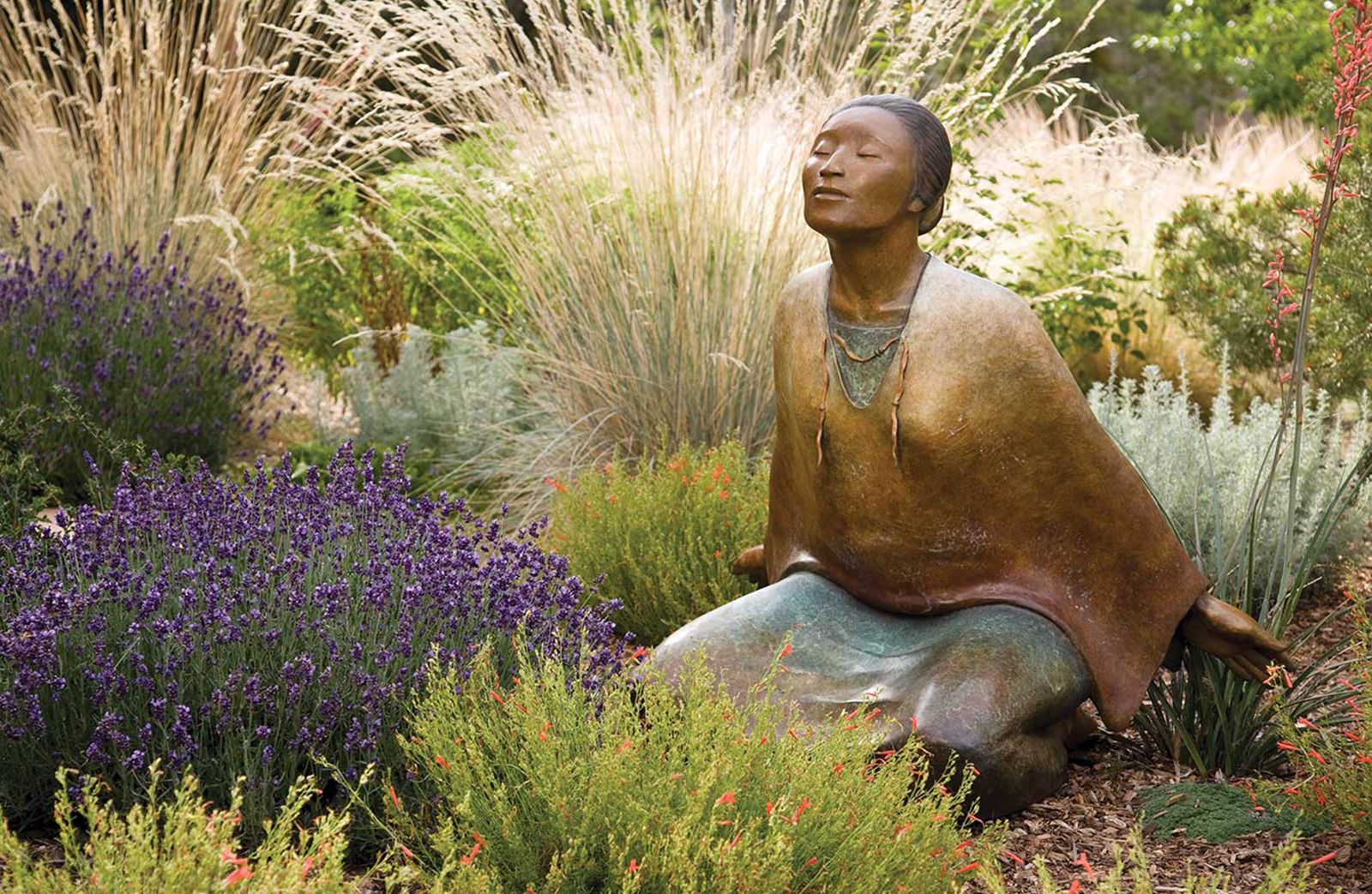 Artist Focus: Liz Wolf (Issue 202)