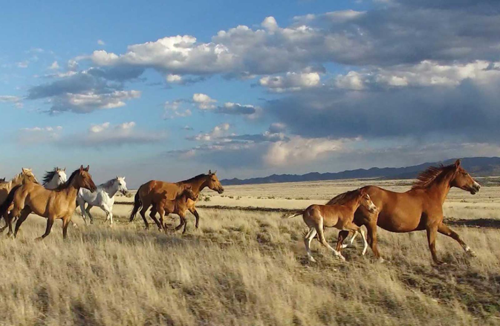 Artist Focus: Tom Fuller (Issue 202)