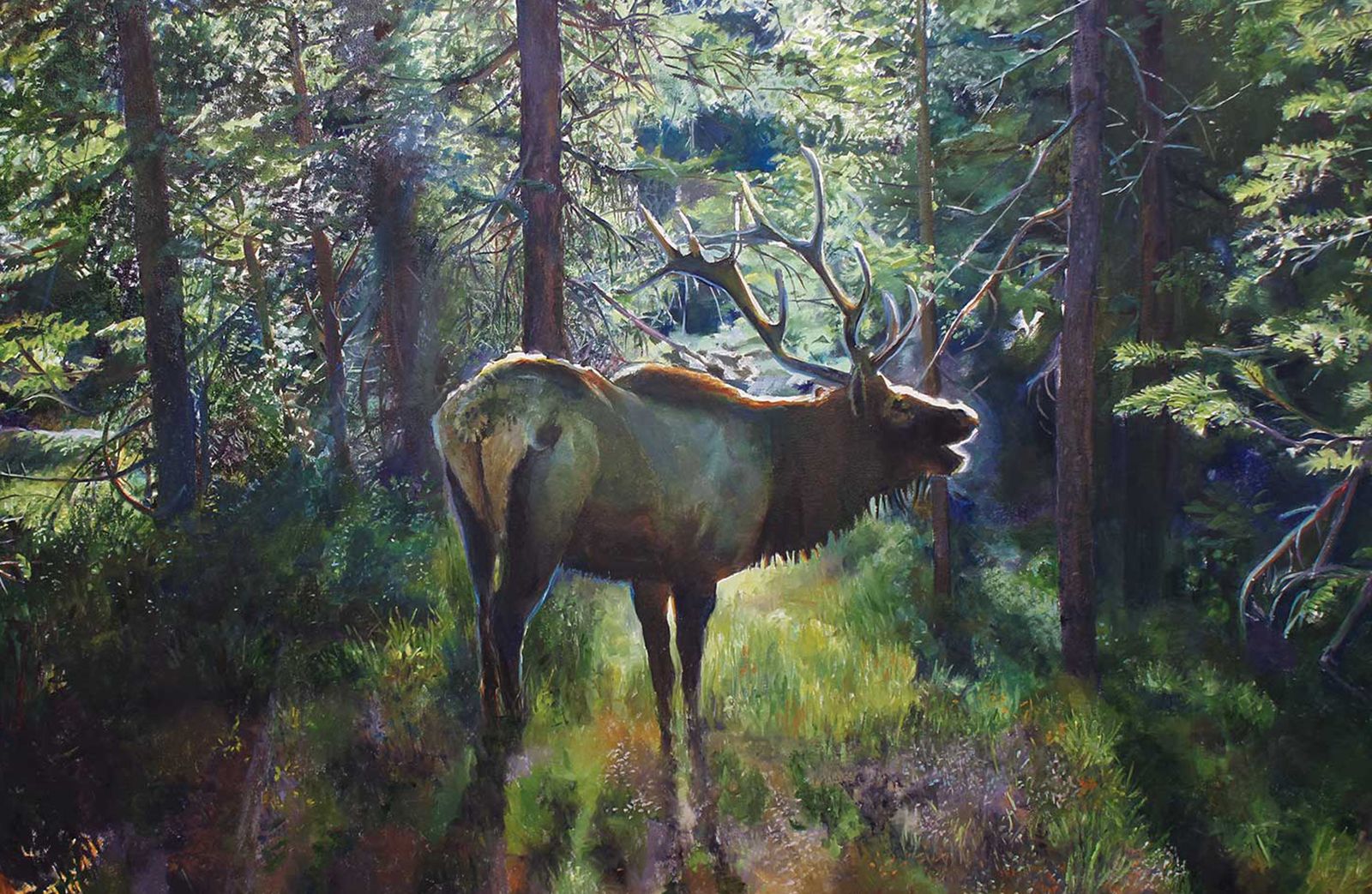 Artist Focus: Dan Knepper (Issue 203)