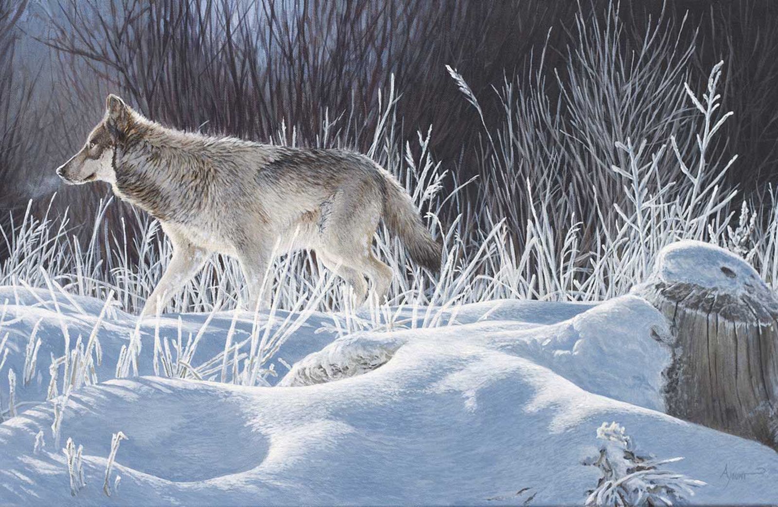 Artist Focus: Aaron Yount (Issue 205)