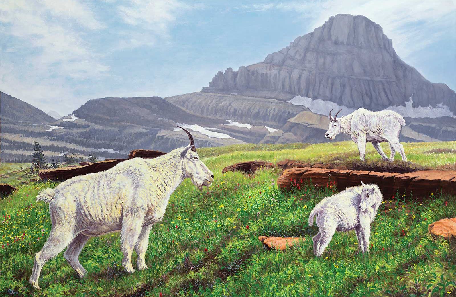 Artist Focus: Gary Johnson (Issue 209)