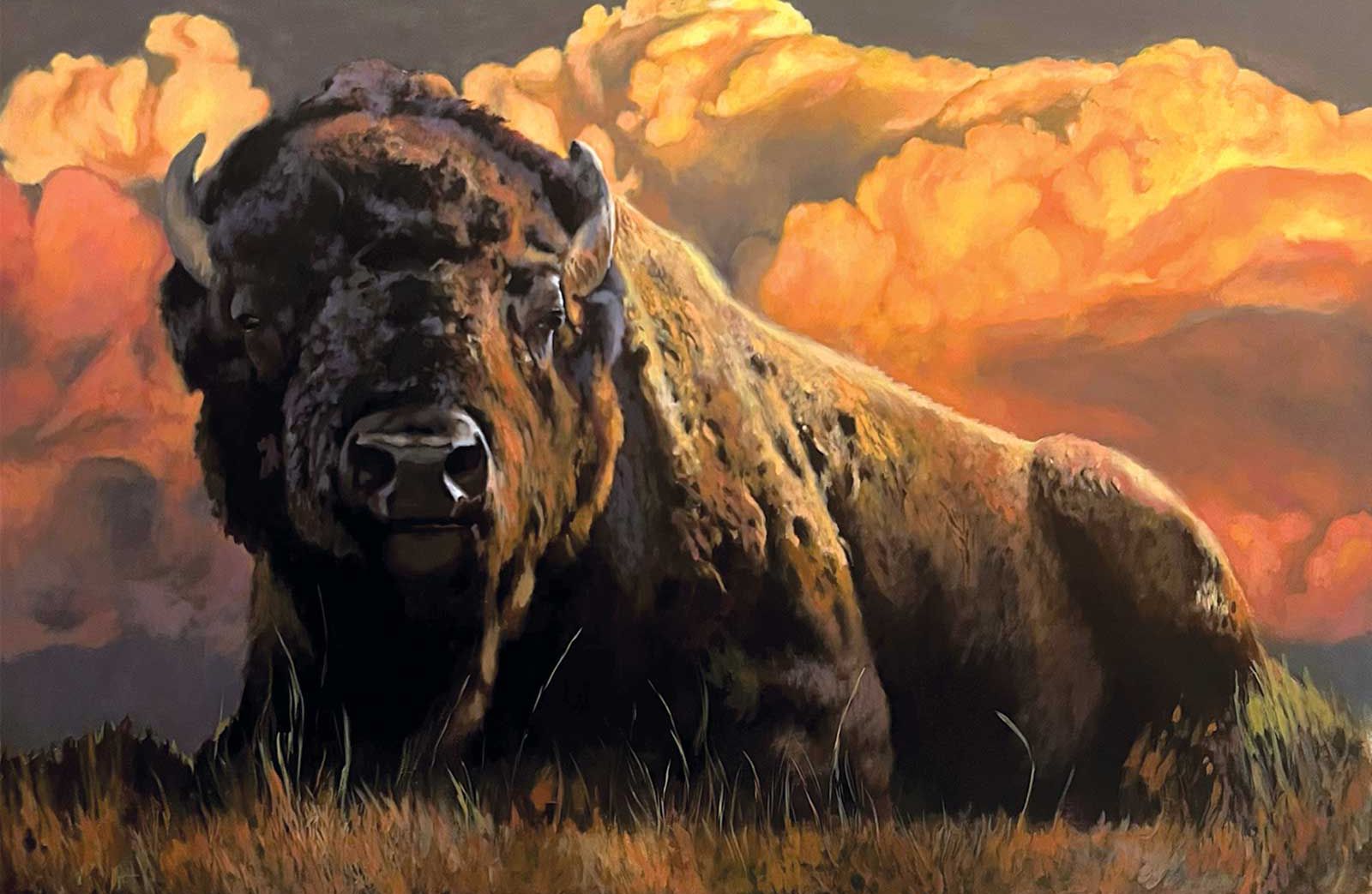 Artist Focus: Summer Spitsbergen (Issue 211)