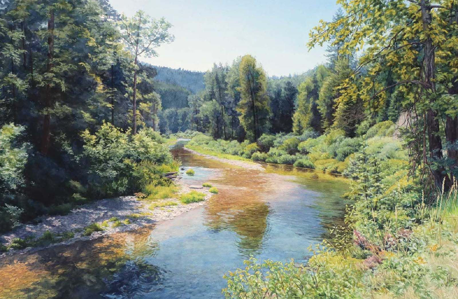 Observing Nature (Issue 213)