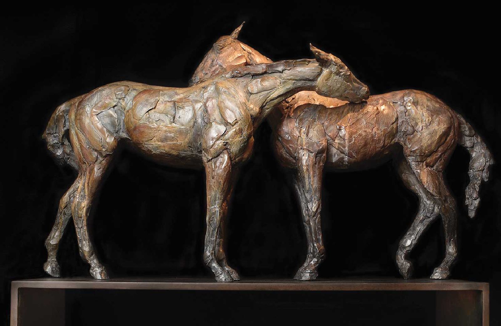 Finding Her Path (Issue 215)