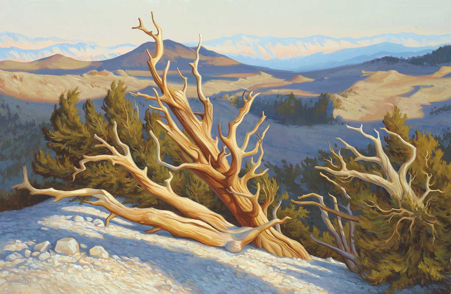 Fresh Paint (Issue 221)